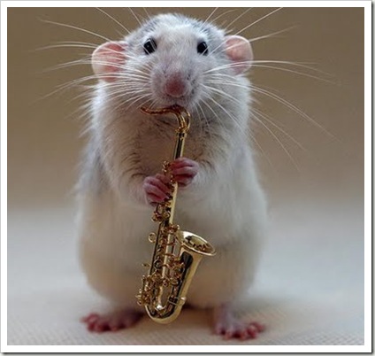 Who cares about mods. Here's my cat playing a bassoon. Upvote for cake ...
